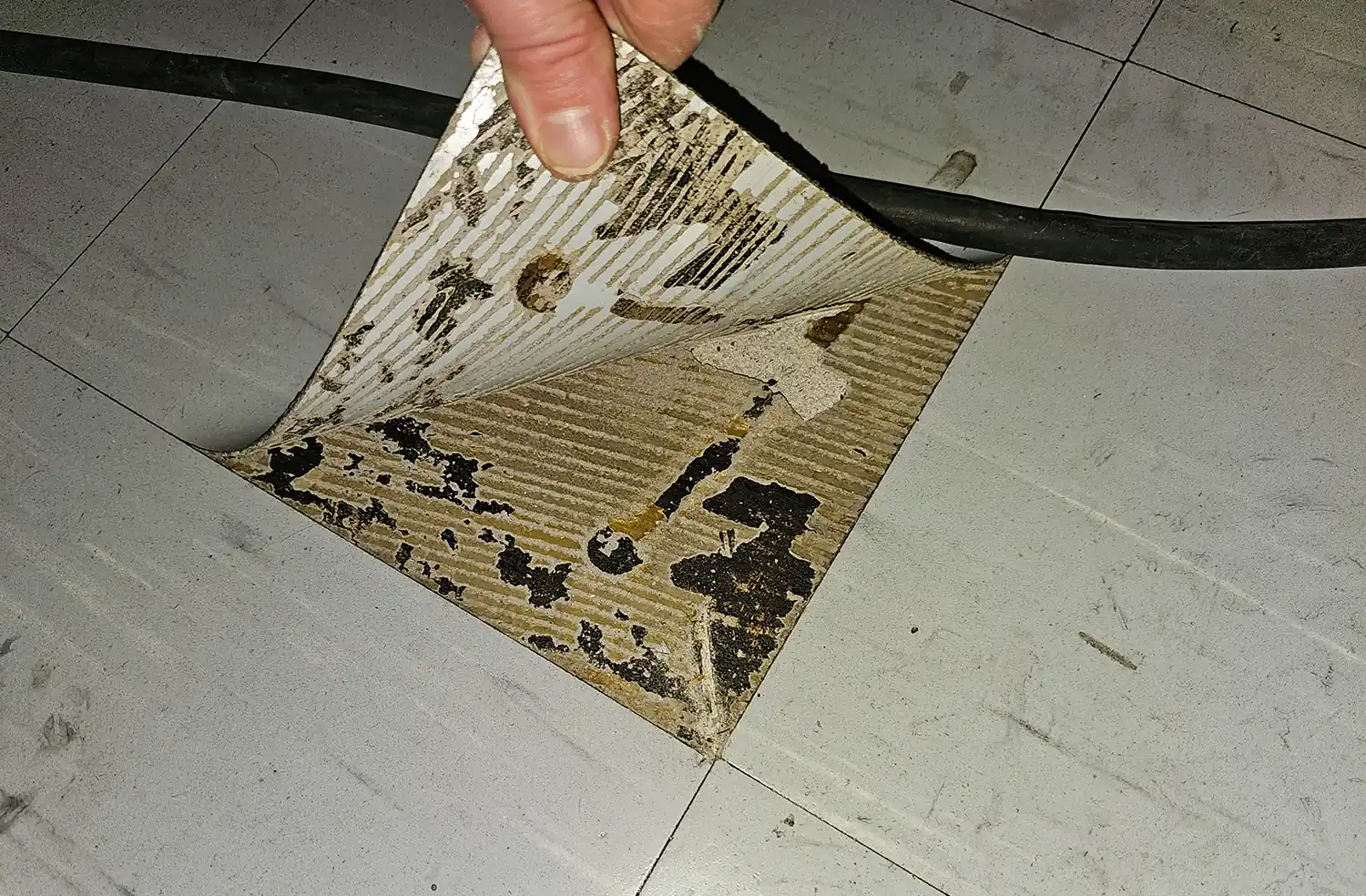 Keittiöremontin asbestikartoitus | Rieppo Service Oy